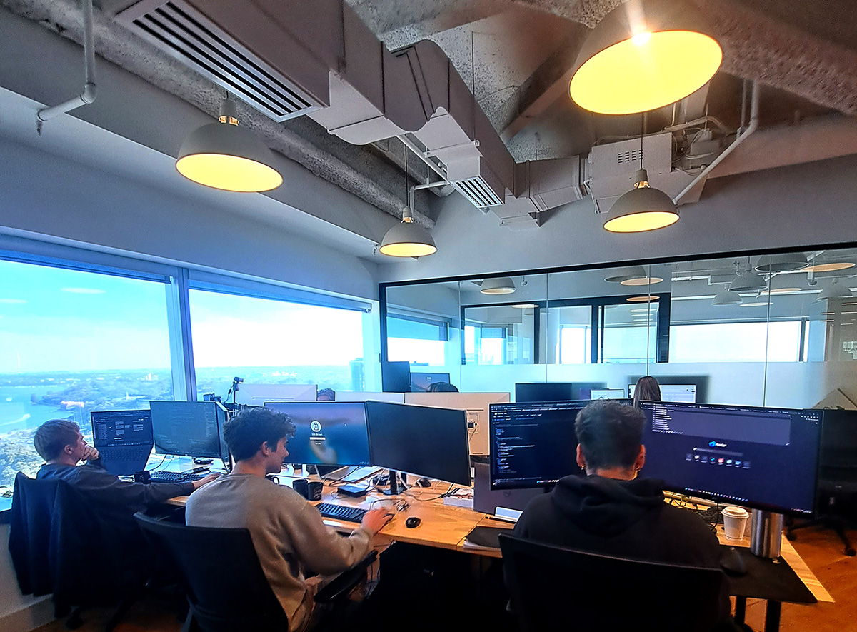 Inside Constructive: Software Development and Integration Support - Building Insights